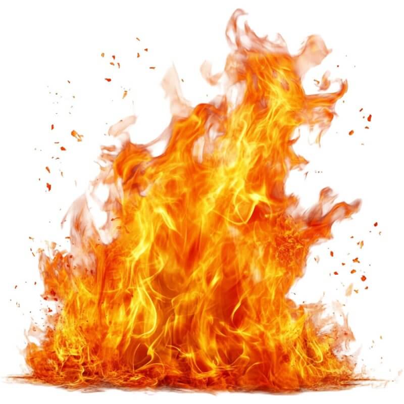 Weniger Verwaltungsaufwand, mehr Fokus aufs Training! - BOMITO